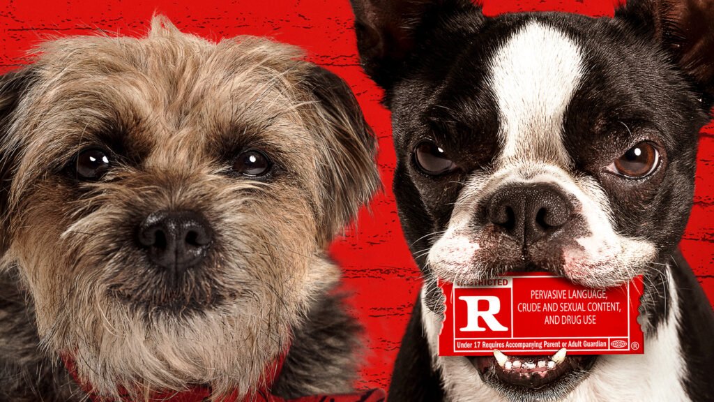 Ep. 598: Raw Dogs | Reel Nerds Podcast